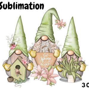 Spring Gnomes, Gnome Png, Sublimation Design, Green Gnomes, Sublimation ...