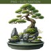 Bonsai Tree Sublimation Print, PNG Digital Downloads for Crafting, Botanical PNG Design ...