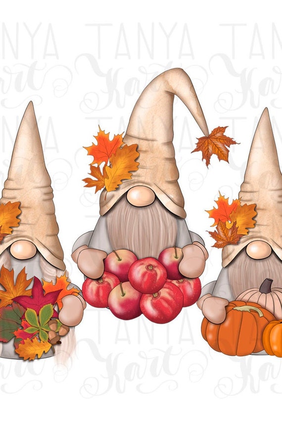 Clip Art Pumpkin Gnome PNG Sublimation Design Instant Digital Download ...