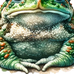 Cute Toad Transparent PNG Digital Downloads for DIY T-shirt Designs and ...