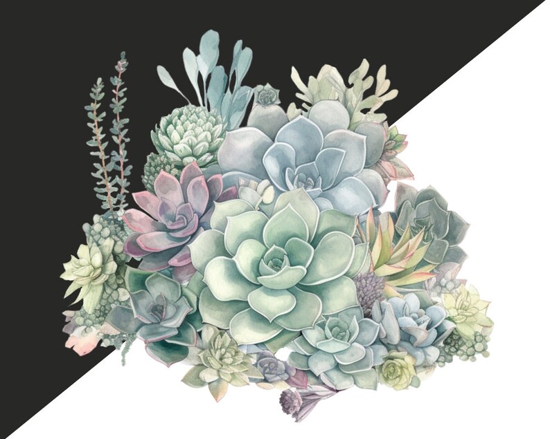Watercolor Succulent Cactus Png Clipart, Succulent Clipart, Botanical ...