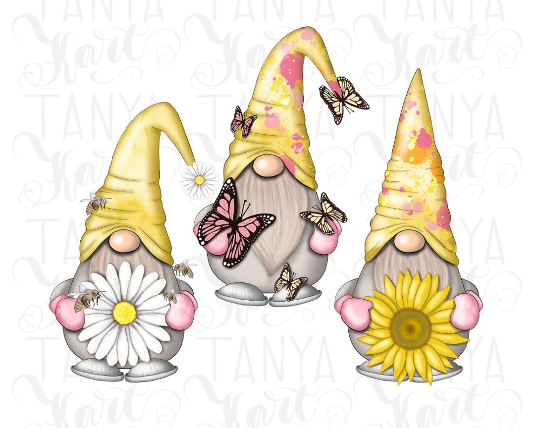 Three Summer Gnomes, Gnome With Butterflies, Hand Drawn, Summer Gnome ...