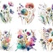 Meadow Flowers, Floral Clipart, Spring Design Png, Spring Flowers ...
