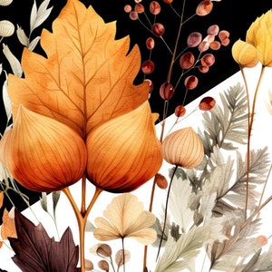 Autumn Digital Art, Fall Foliage, Fall Flowers, Boho Floral Art for ...