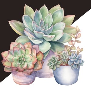 Watercolor Succulent Cactus Png Clipart, Succulent Clipart, Botanical ...