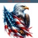 Patriotic Eagle Sublimation Design, 4th of July Digital Art, Memorial ...