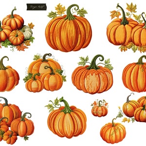 Fall Pumpkin Clip Art Bundle - Sublimation Graphics for Autumn Decor ...