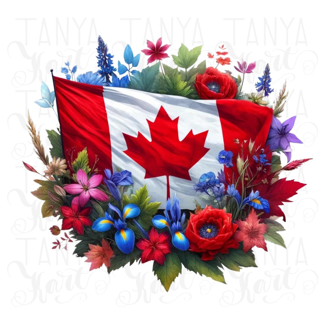 Patriotic Canadian Flag Flower, North America Transfer Print, Canada ...