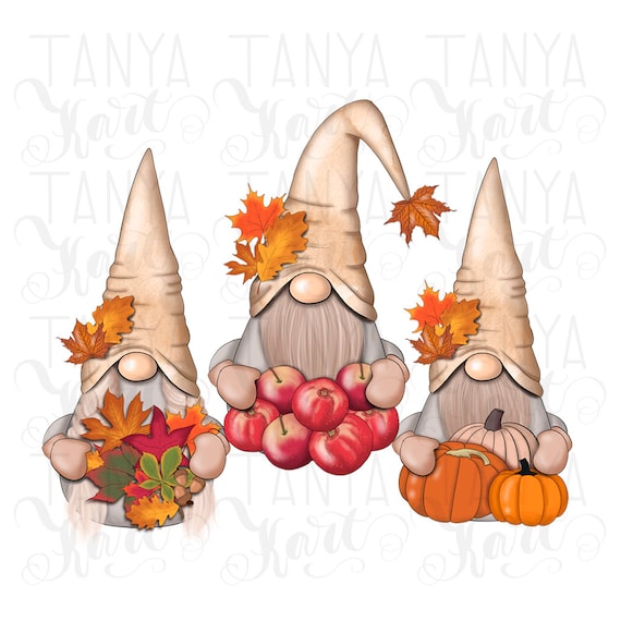 Autumn Gnomes Fall Png Sublimation Design Fall Gnomes | Etsy