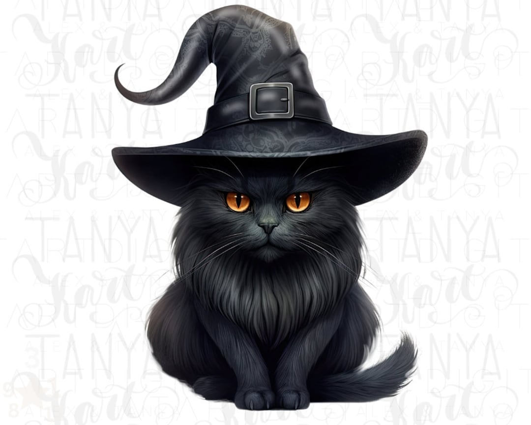 Black Cat With Witch Hat PNG Sublimation, Halloween Witchy Black Cat ...