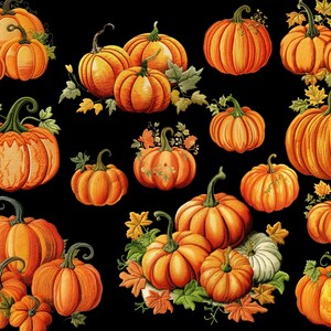 Fall Pumpkin Clip Art Bundle - Sublimation Graphics for Autumn Decor ...