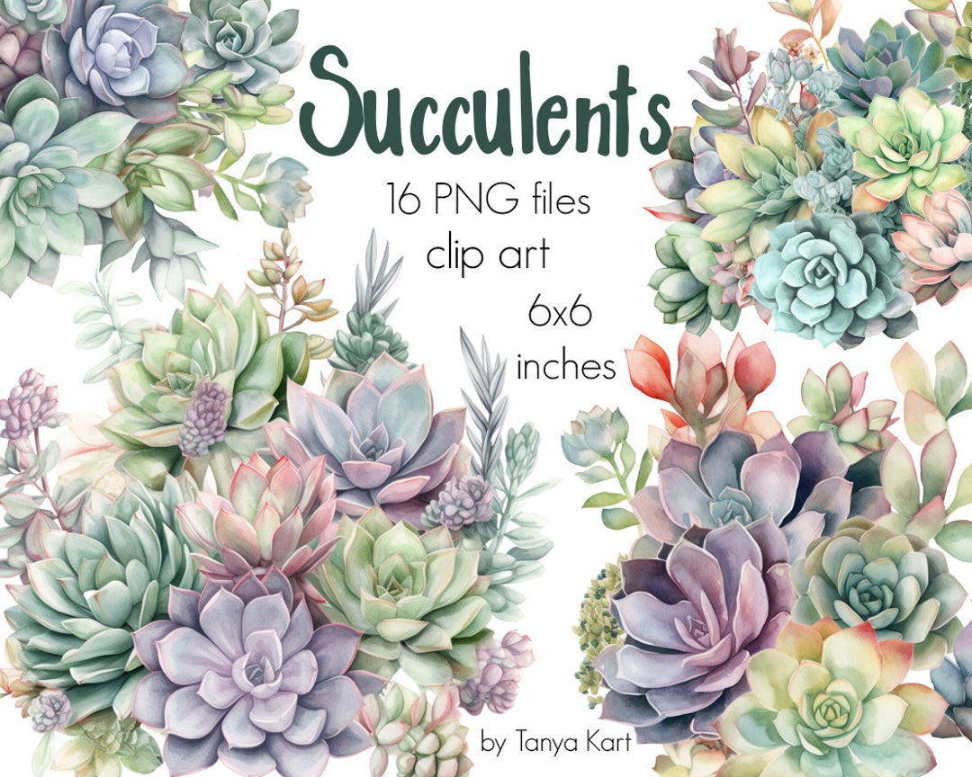 Watercolor Succulent Cactus Png Clipart, Succulent Clipart, Botanical ...