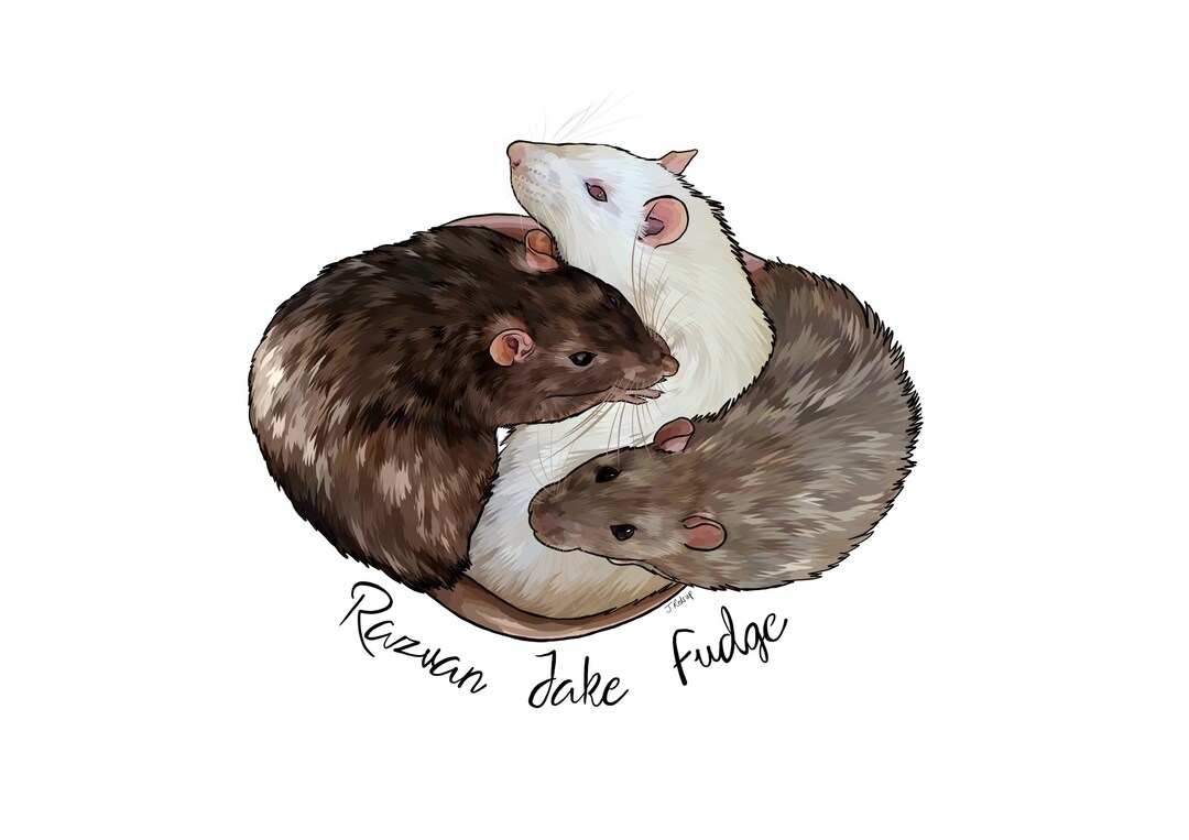 Detailed Rat Custom Pet Portrait digital Download/print Rat - Etsy