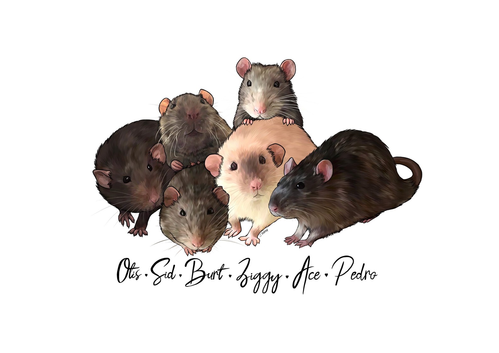 Detailed Rat Custom Pet Portrait digital Download/print Rat | Etsy