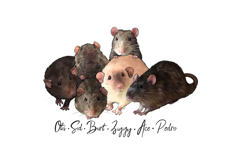 Detailed Rat Custom Pet Portrait digital Download/print Rat | Etsy
