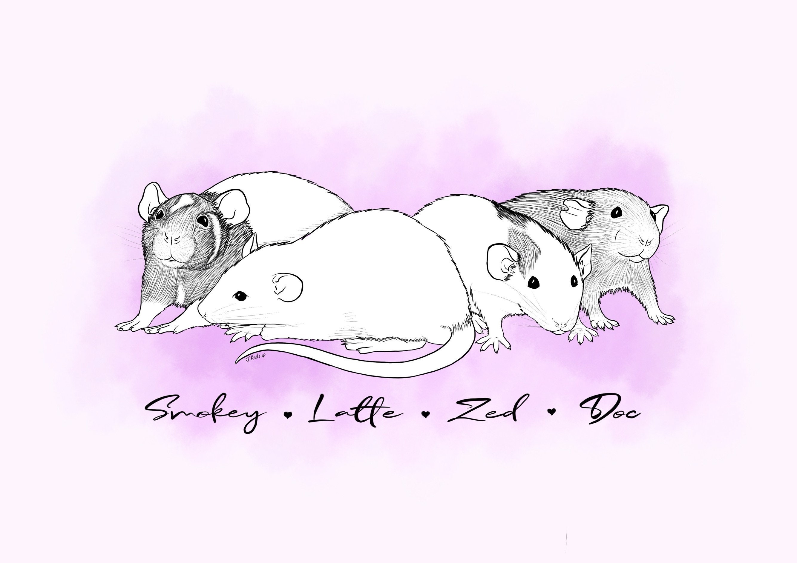 Line Art Rat Custom Pet Portrait! [digital Download] Rat Lovers ...