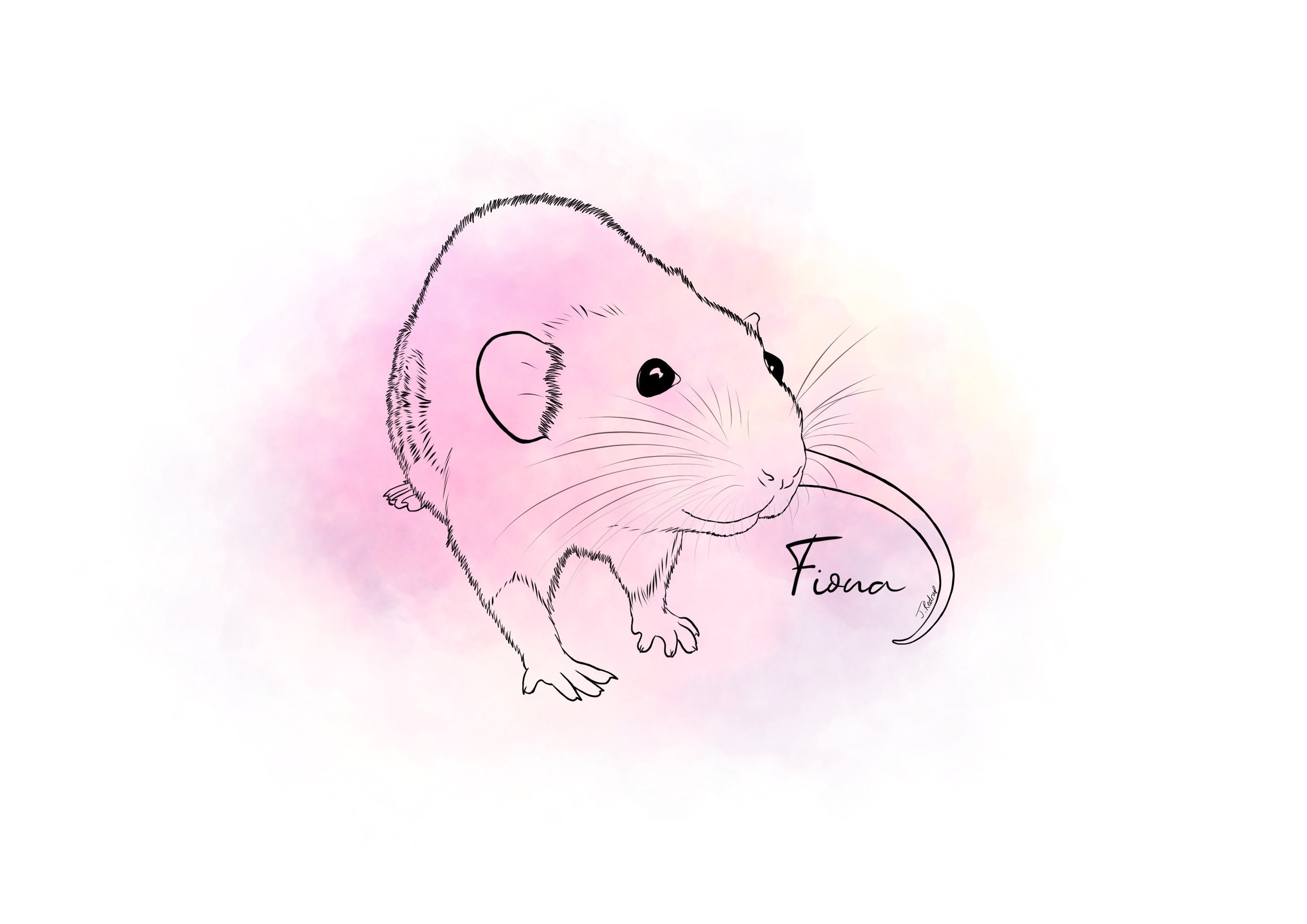 Line Art Rat Custom Pet Portrait digital Download Rat | Etsy