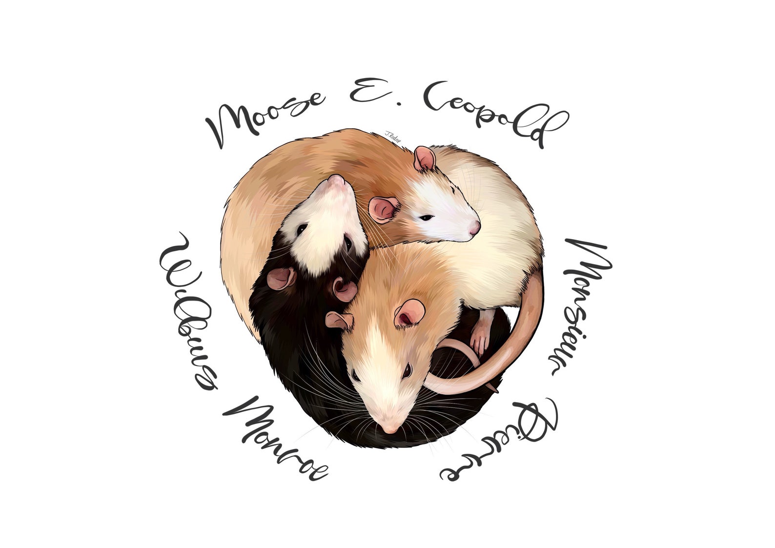 Detailed Rat Custom Pet Portrait! [digital Download/print] Rat Lovers ...
