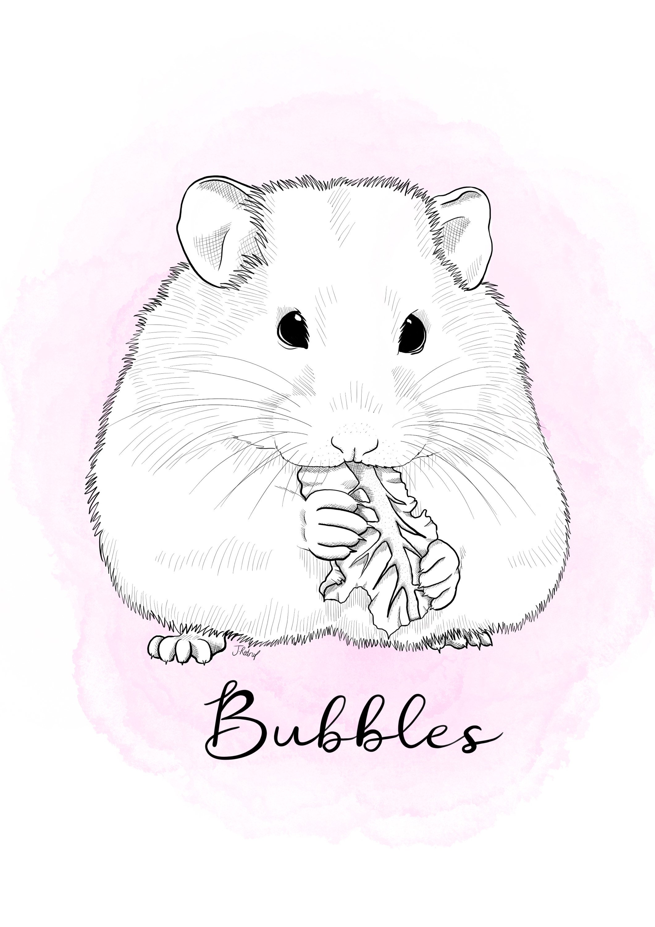 Line Art Hamster Custom Pet Portrait digital Download | Etsy