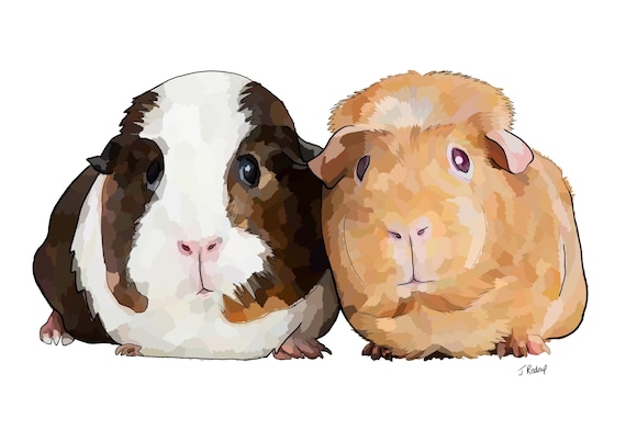 Cartoon Guinea Pig Custom Pet Portrait digital | Etsy