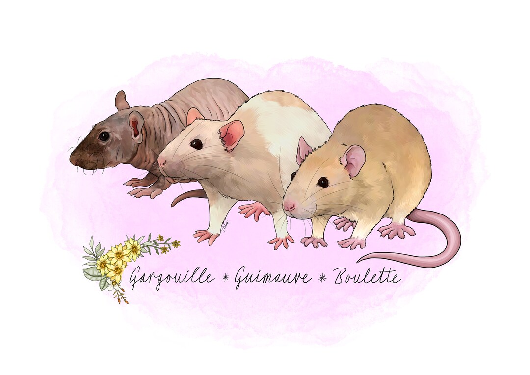 Detailed Rat Custom Pet Portrait! [digital Download/print] Rat Lovers ...