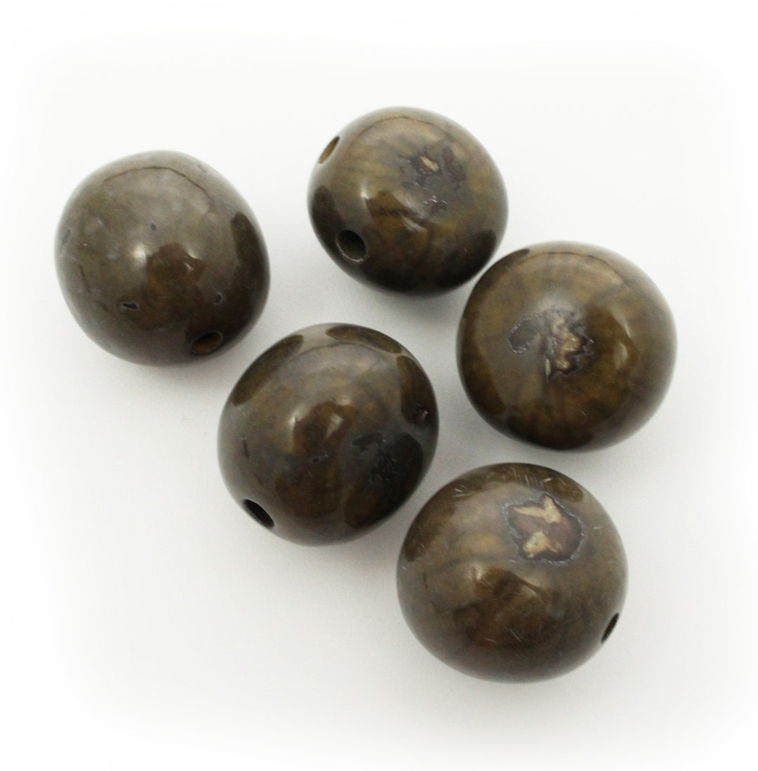 Pambil Seeds Olive 15 Mm 5 Pieces Seed Beads Natural Beads Bombona ...