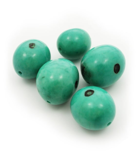 Natural Seeds Pambil Seeds Aqua 15-22 Mm 5 Pieces Seed Beads - Etsy