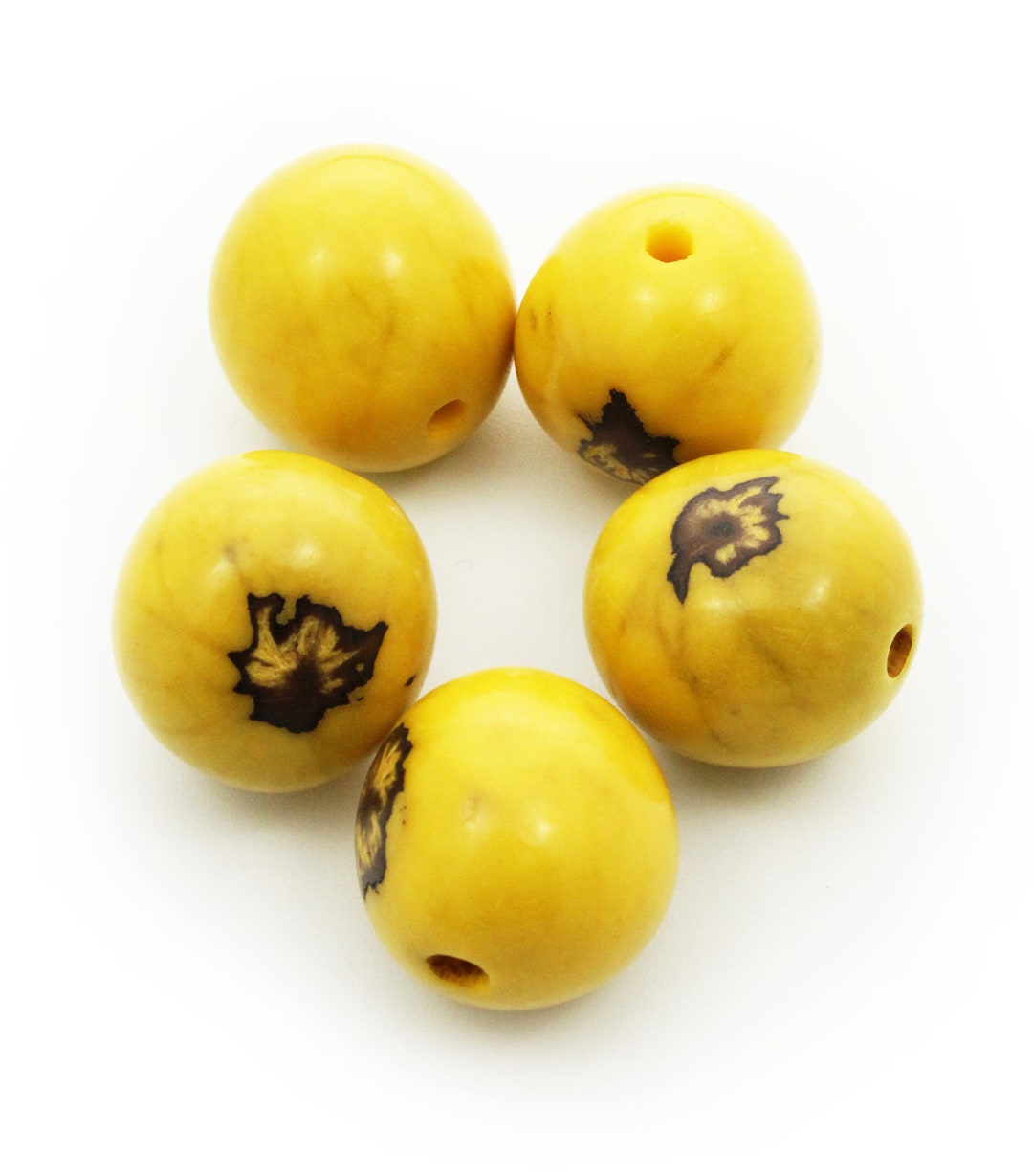 Pambil Seeds Yellow 15 Mm Pack of 5 Seed Beads Natural Beads Bombona ...