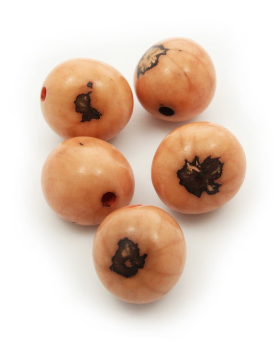 Natural Seeds Pambil Seeds Salmon Pink 15-22 Mm 5 Pieces Seed | Etsy