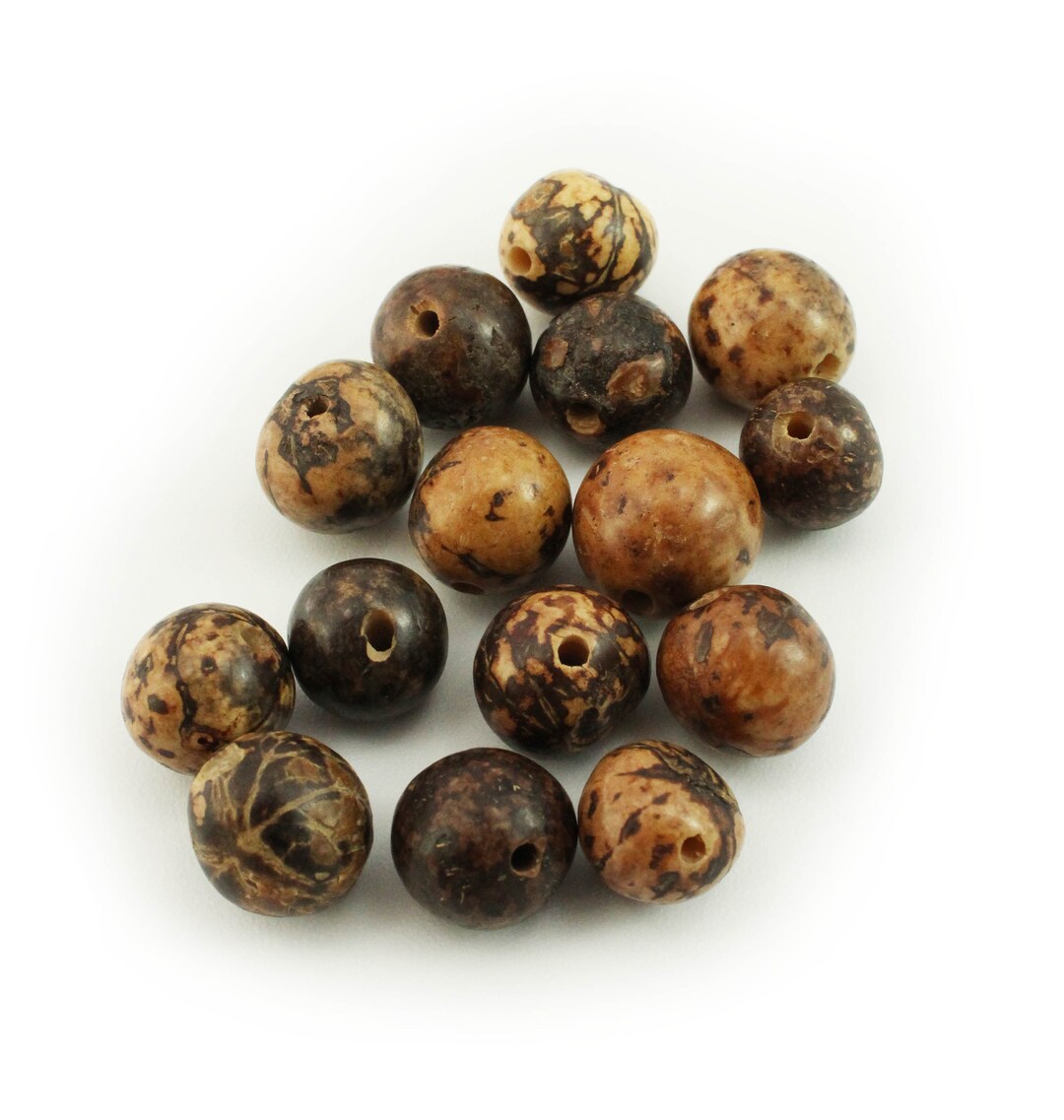 Natural Beads 15 Mm Paxiubao Beads Natural Brown 15 Pieces Seed Beads ...