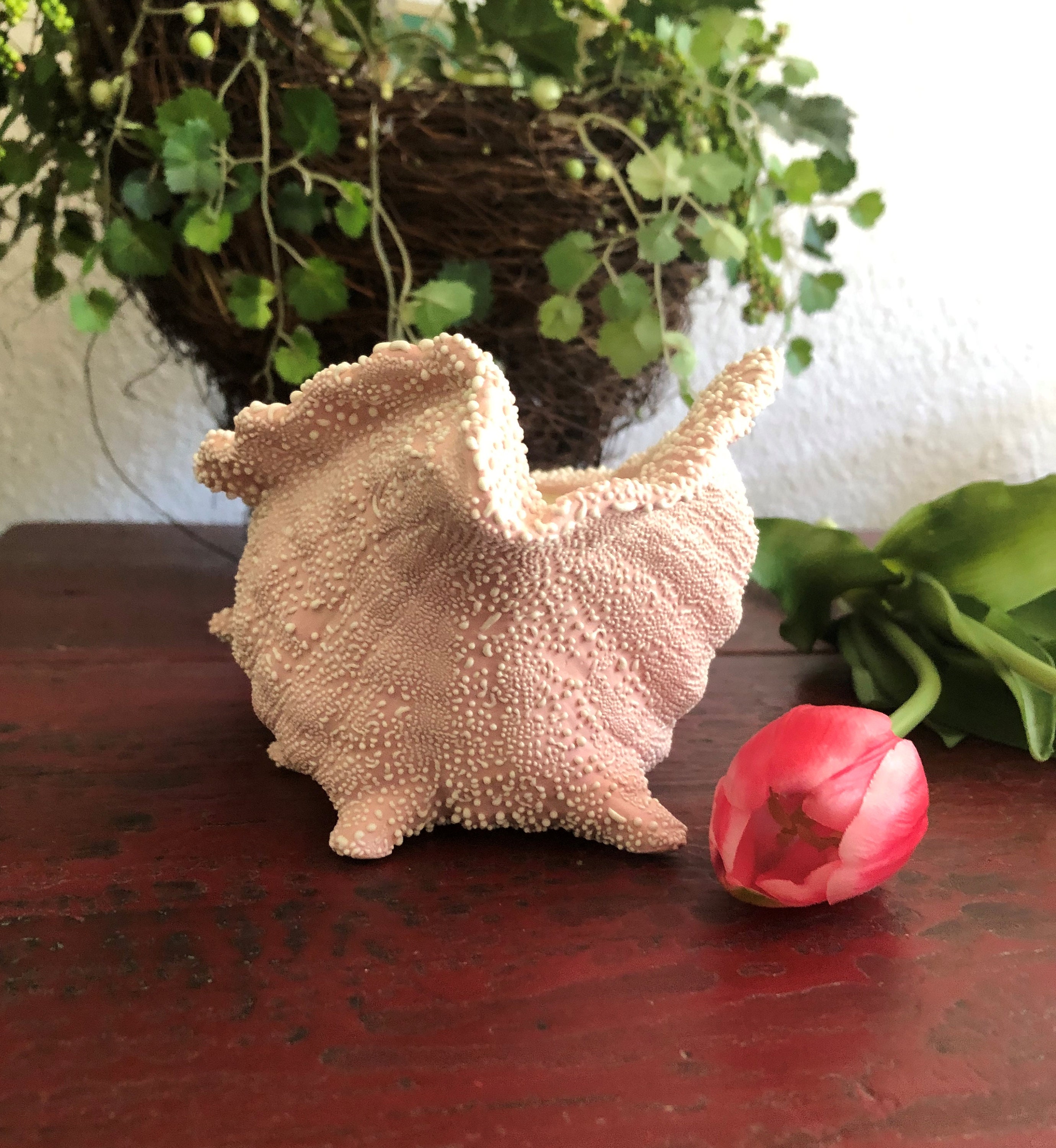 SALE Vintage Popcorn Texture PINK Seashell Planter Succulent Container ...