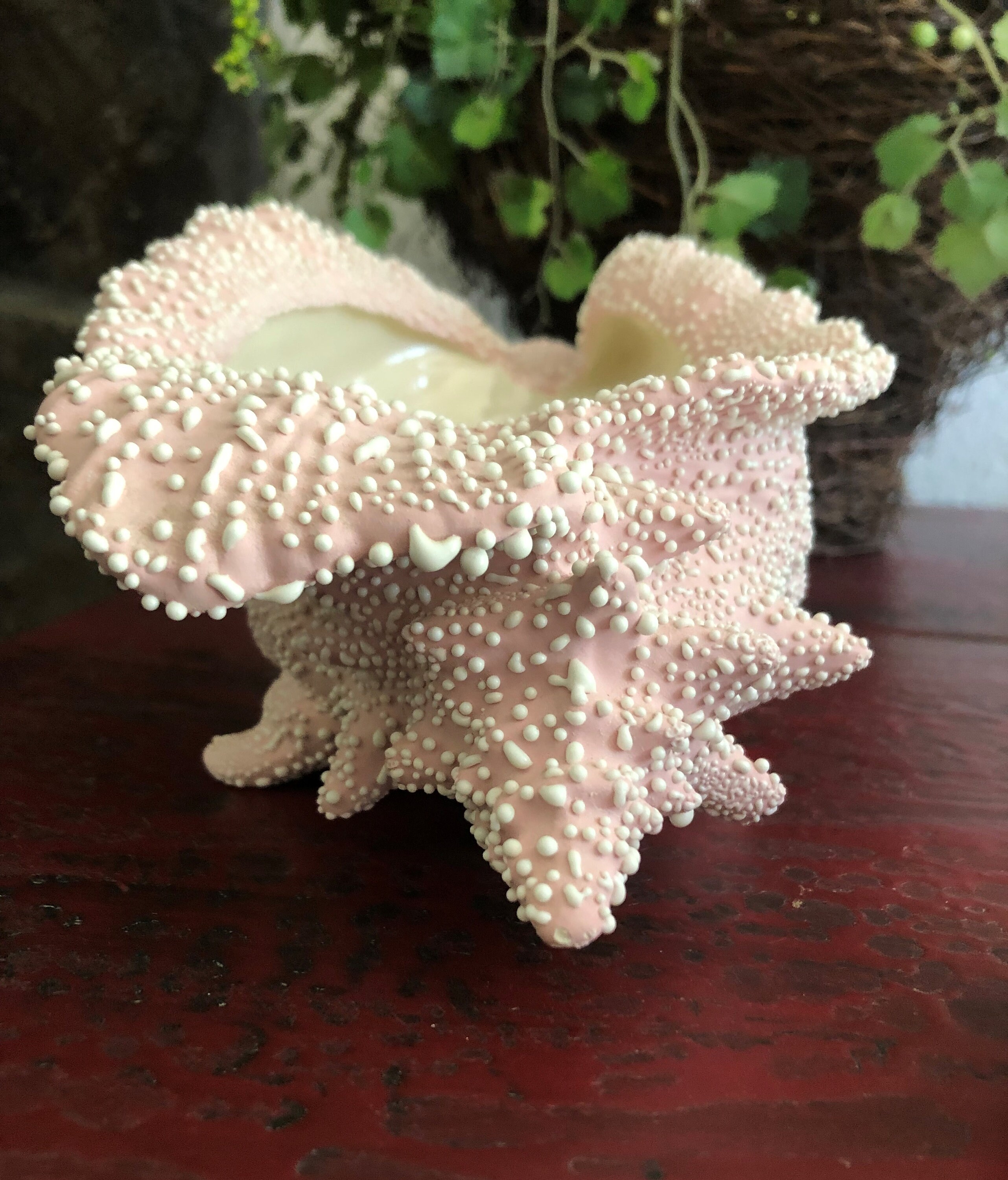 SALE Vintage Popcorn Texture PINK Seashell Planter Succulent Container ...