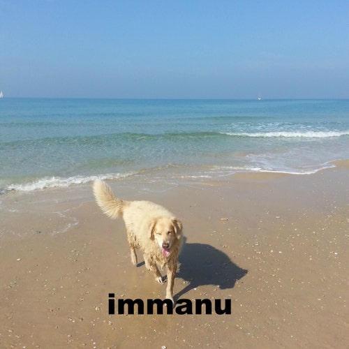 immanu - Etsy
