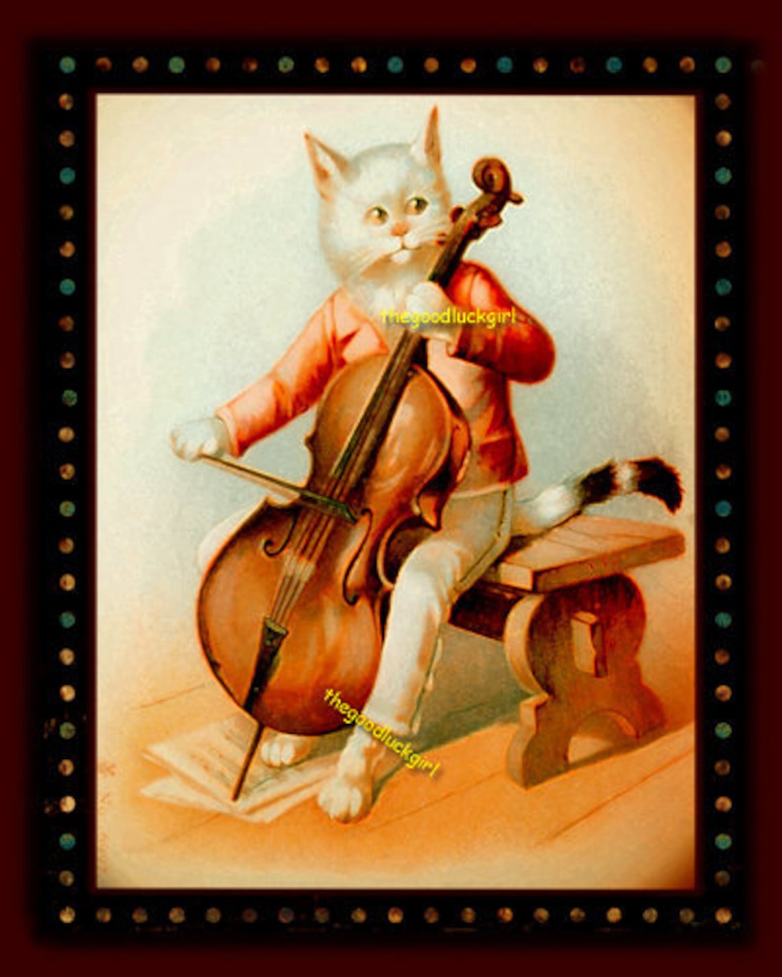 Vintage 1900 CELLO CAT 8x10 White Kitten Postcard Art Print Picture - Etsy