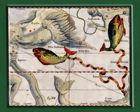 What is the zodiac sign of february 19 60 photos - Astrologytoyou.com