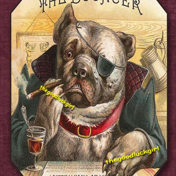 Bulldog Smoking Cigar - Etsy
