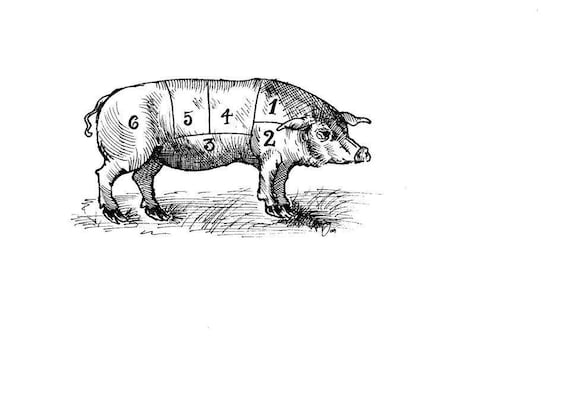 Pen & Ink Pig | Etsy