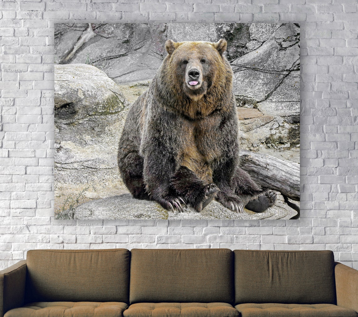 Funny Grizzly Bear Portrait, Wildlife Wall Art, Teen Room Decor, CANVAS ...
