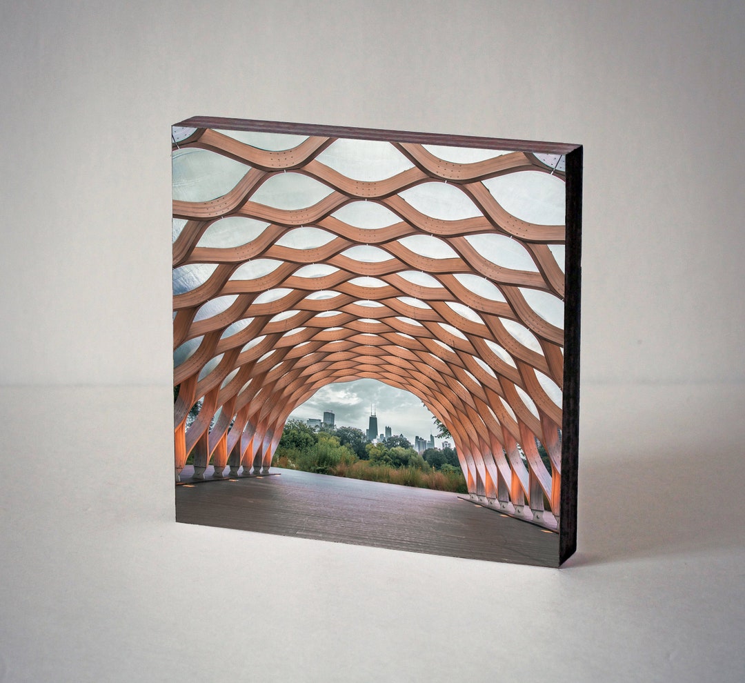 Chicago Honeycomb Pavilion, Lincoln Park Zoo - Wood Photo Block, Desk ...