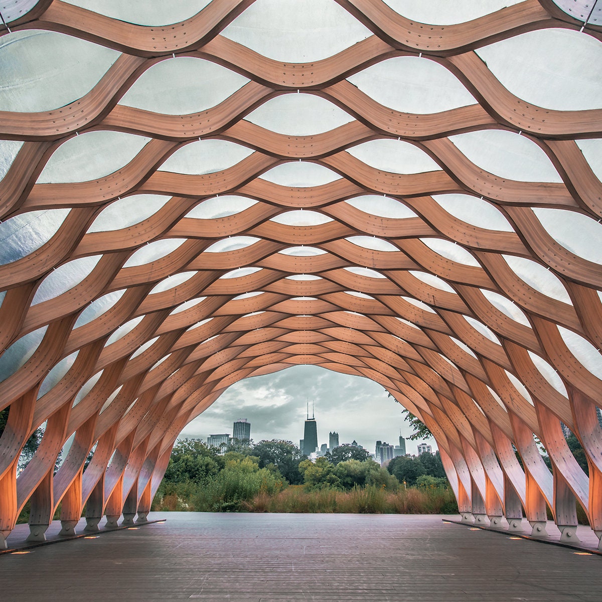 Chicago Wall Art Lincoln Park Zoo Honeycomb Pavilion - Etsy