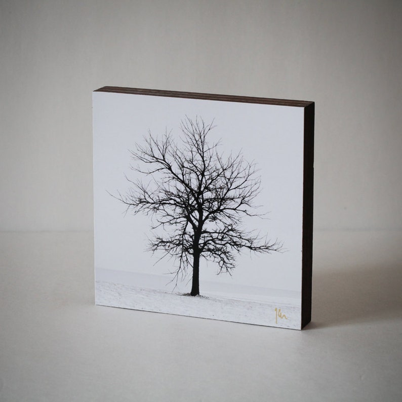 Lone Tree Wall Art, Tree Picture, Tree Silhouette, B&W Tree Photo ...