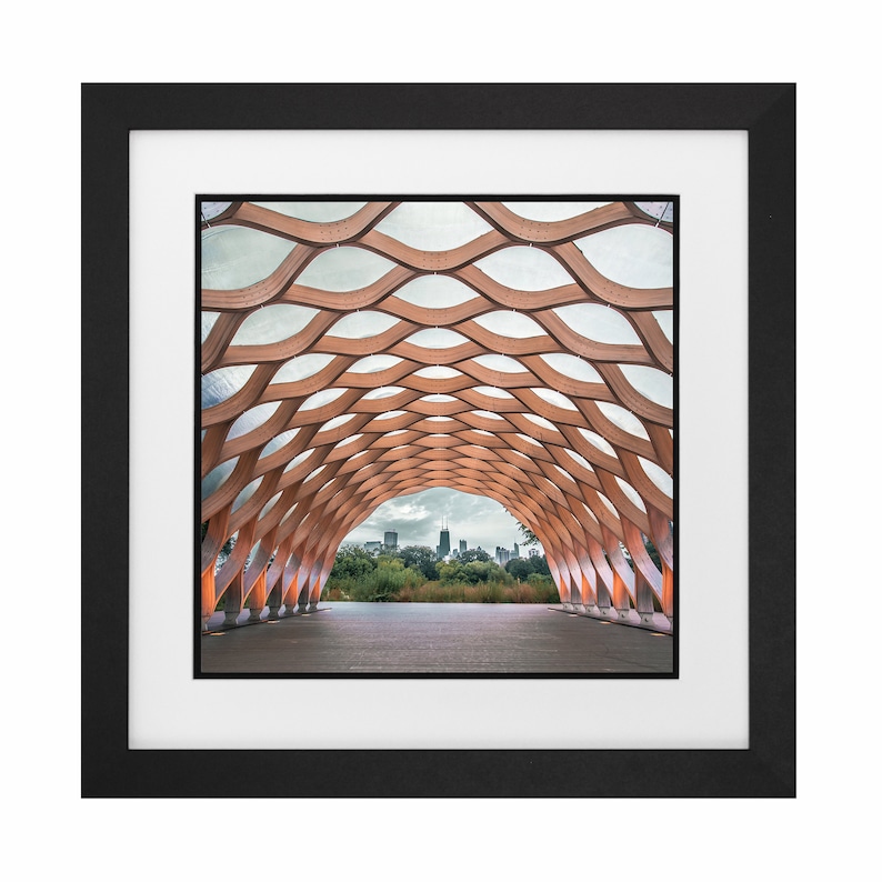 Chicago Wall Art - Lincoln Park Zoo - Honeycomb Pavilion Sculpture ...