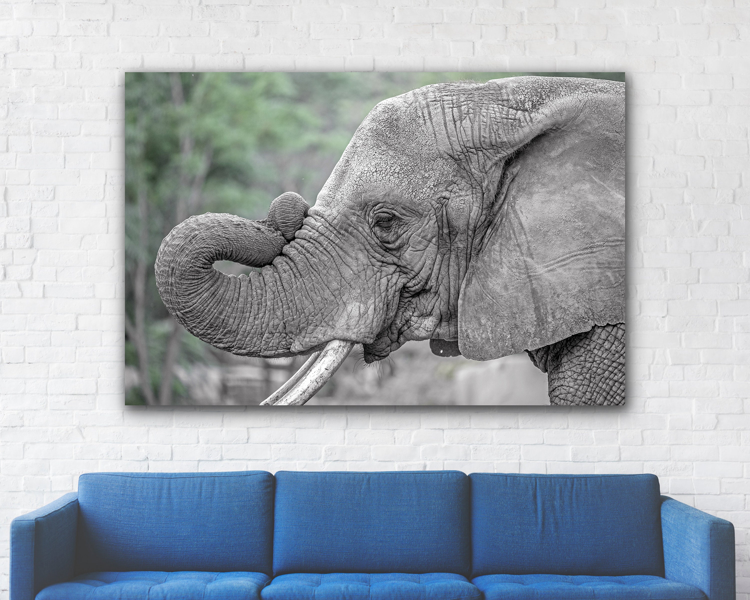 African Elephant Wall Art, Wildlife Photography, Kids Room Decor ...