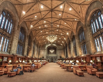 Chicago University Photograph Harper Memorial Library | Etsy