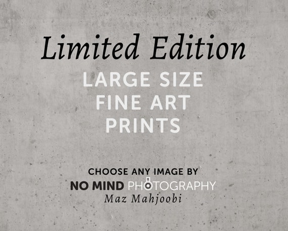 Large Size Limited Edition Prints Archival Fine Art Prints | Etsy