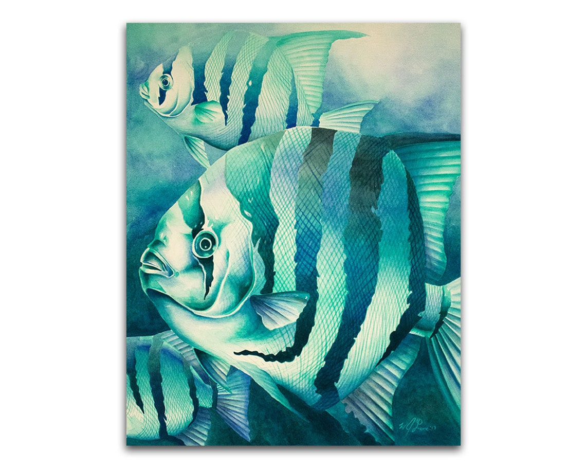 Green Spade Fish - Water Color Original Artwork 25" X 21" - Etsy