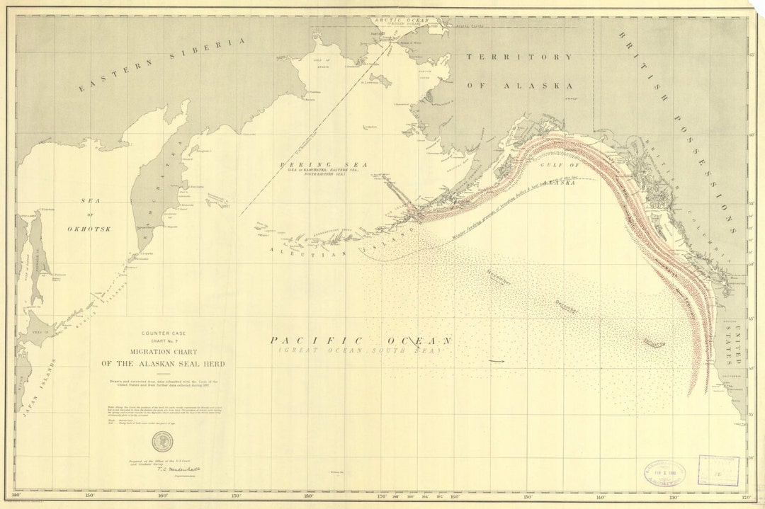 Alaska Seal Migration Map 1892 - Nautical Chart Print - Etsy