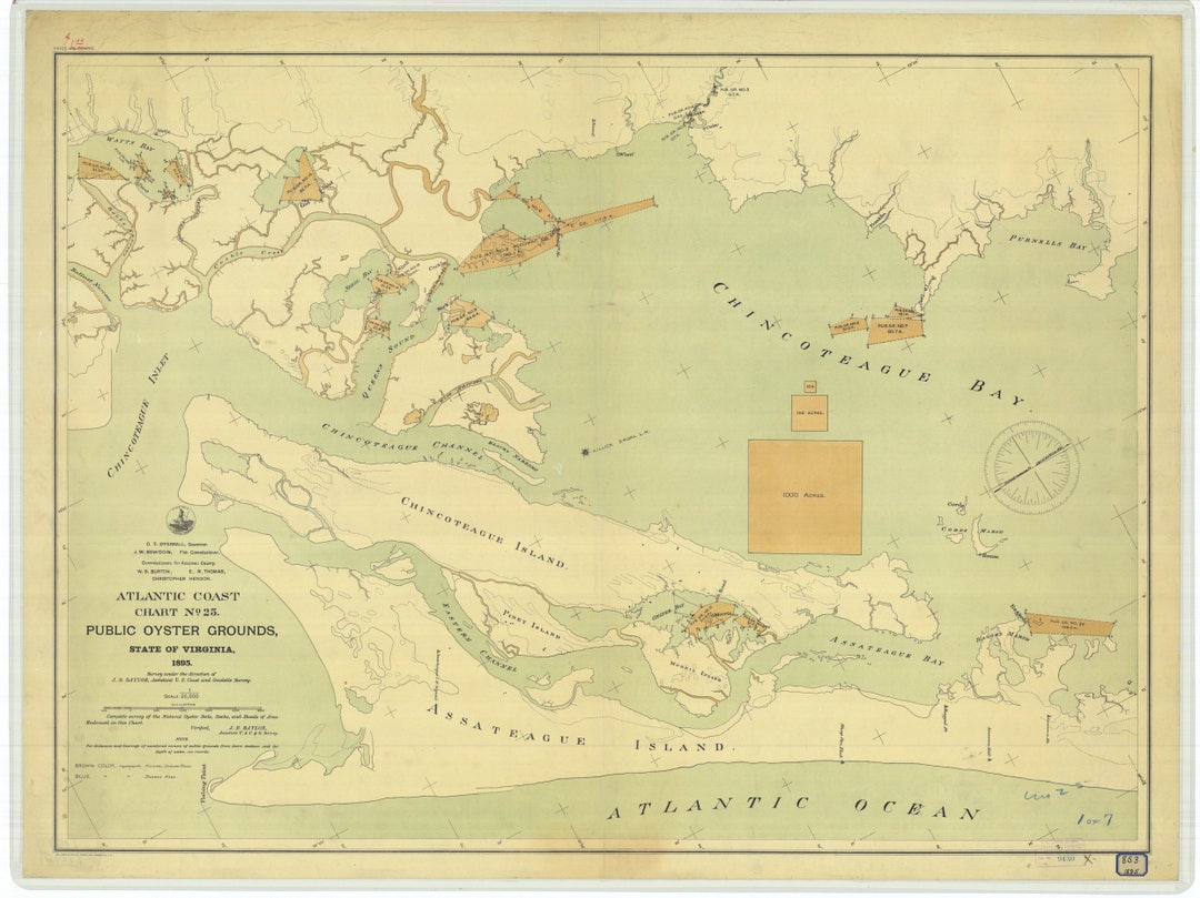 Virginia Public Oyster Grounds Chart #25 1895 - Nautical Chart Print - Etsy