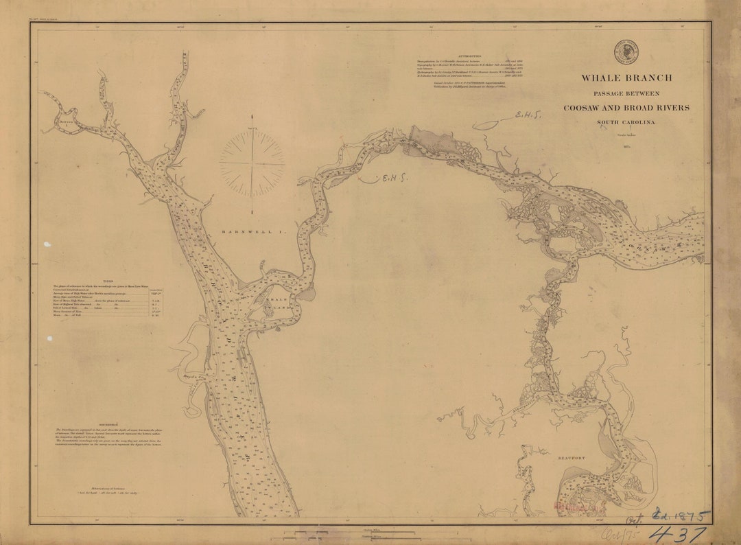 Whale Branch Passage Nautical Chart Print: South Carolina, 1875 - Etsy