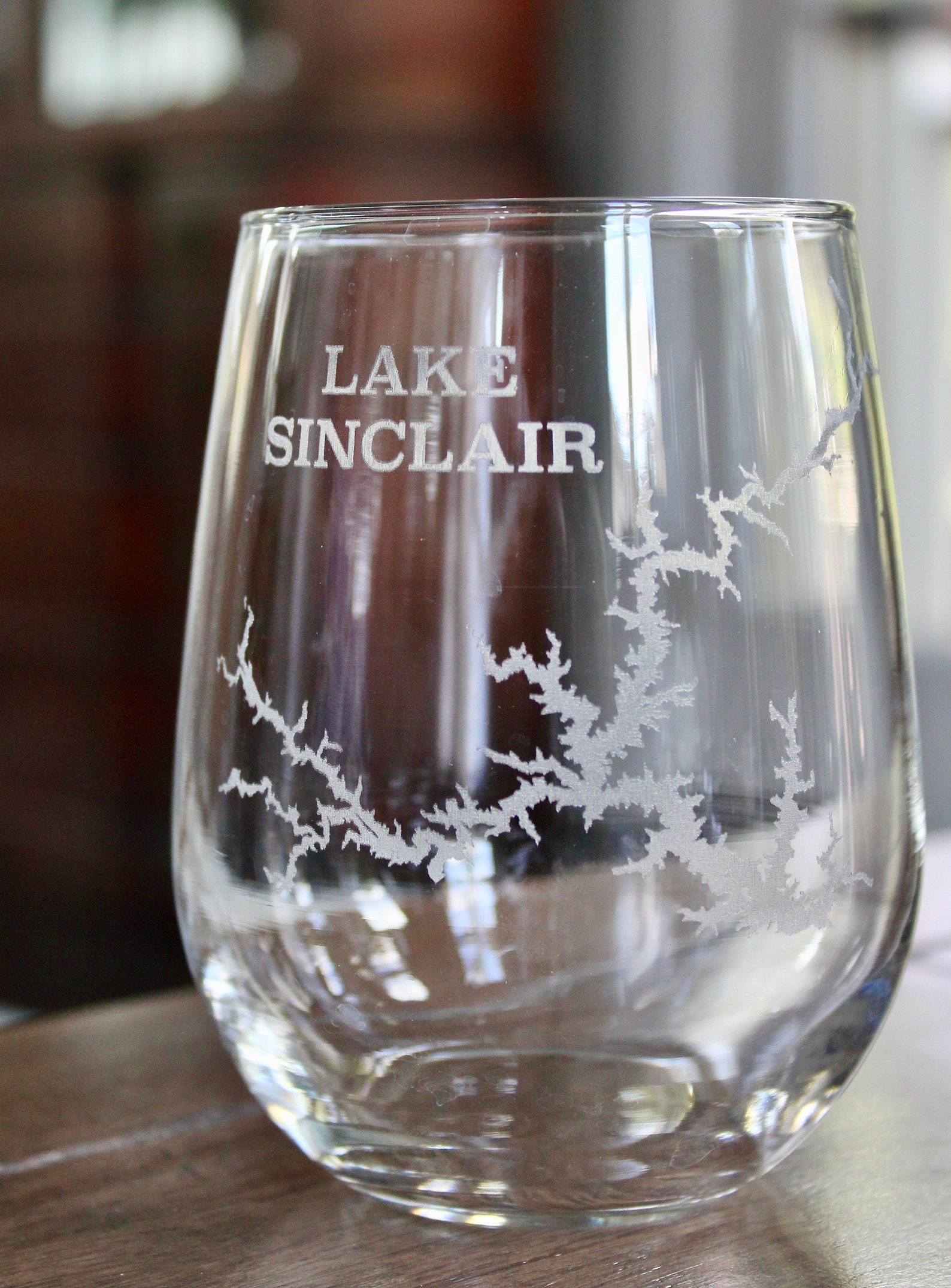 Lake Sinclair GA Map Glasses - Etsy